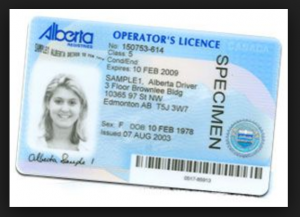Alberta drivers license blog image